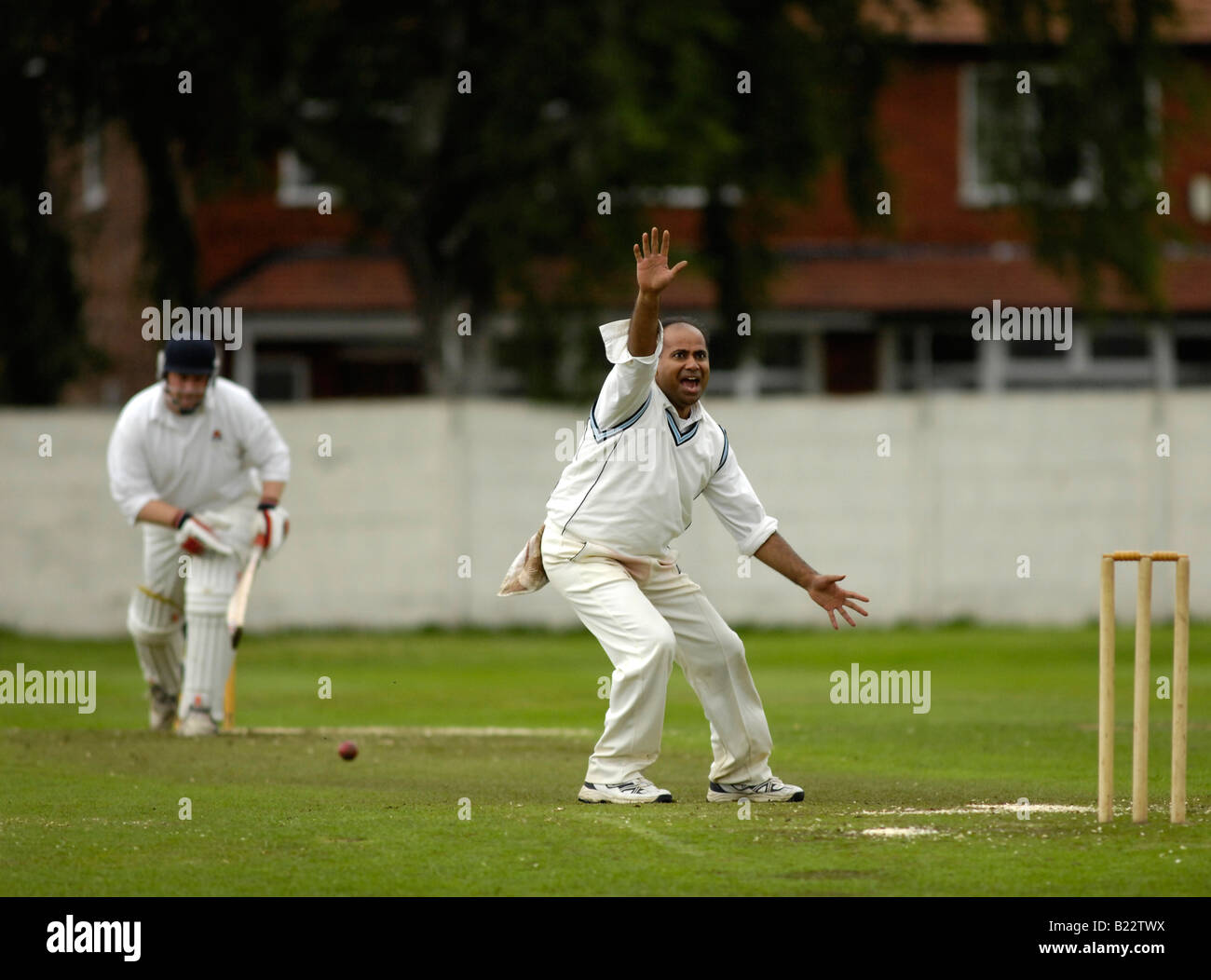Lbw hi-res stock photography and images - Alamy