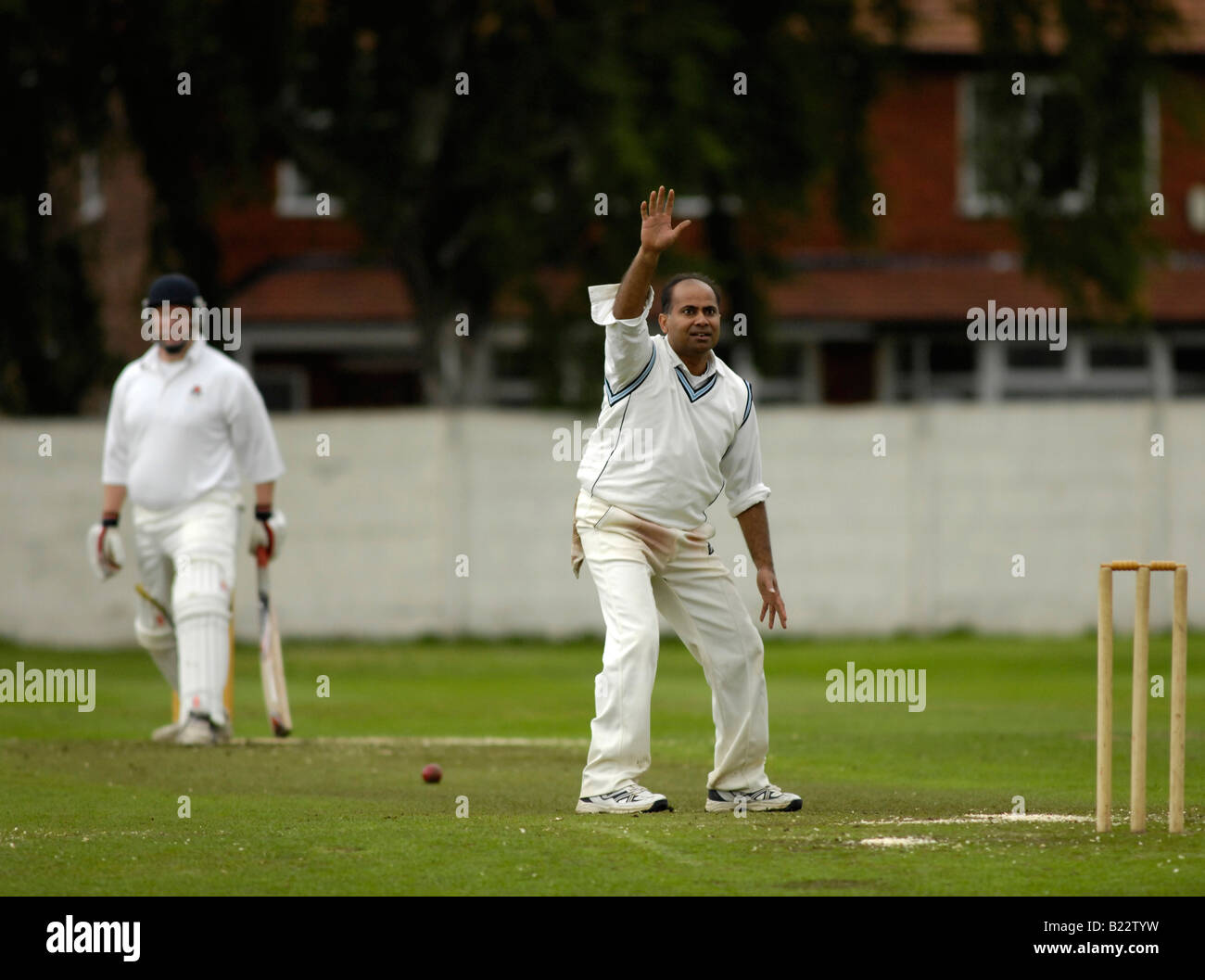 Cricket Bowler Appeal High Resolution Stock Photography and Images - Alamy