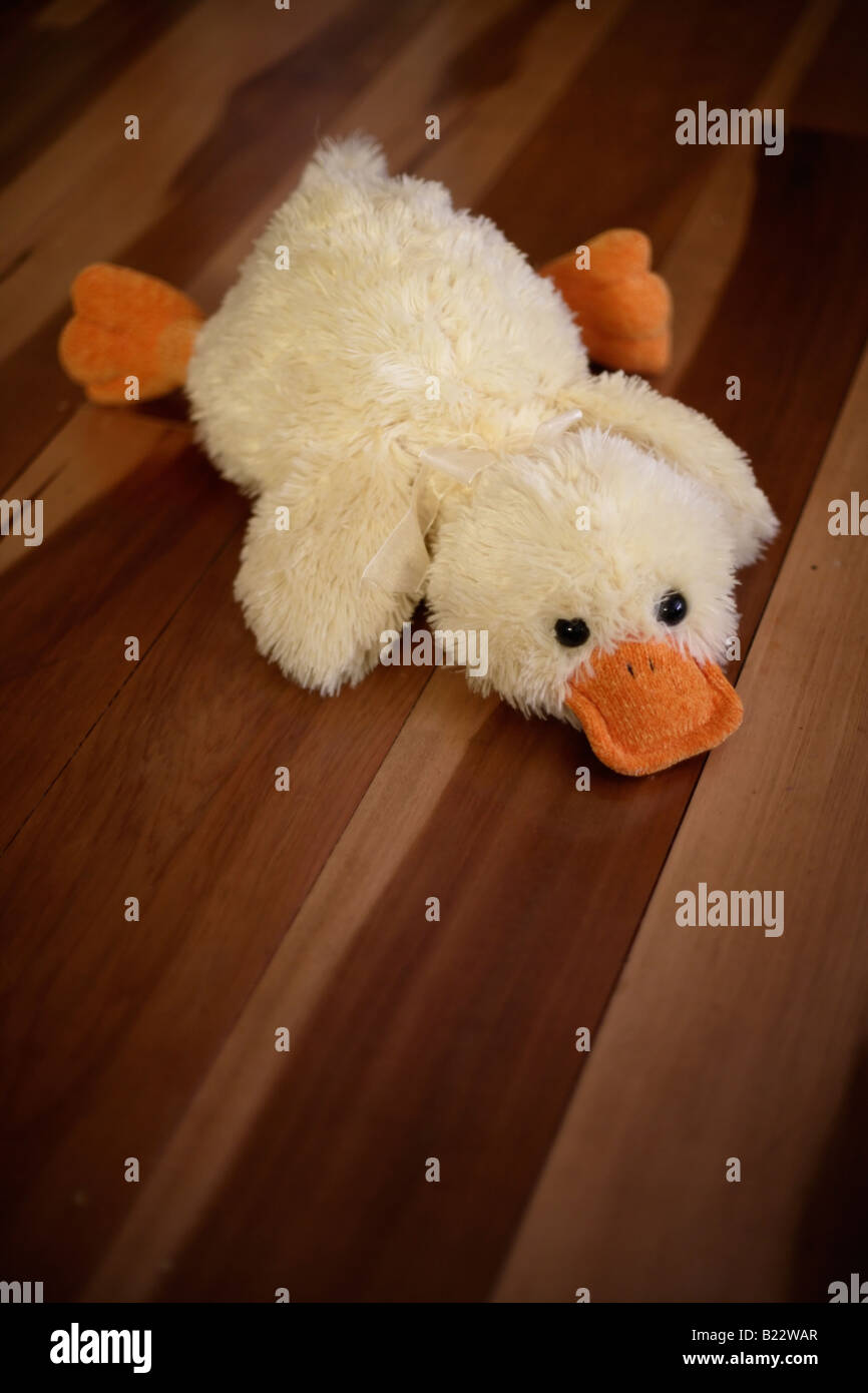 Duck behind duck hi-res stock photography and images - Alamy