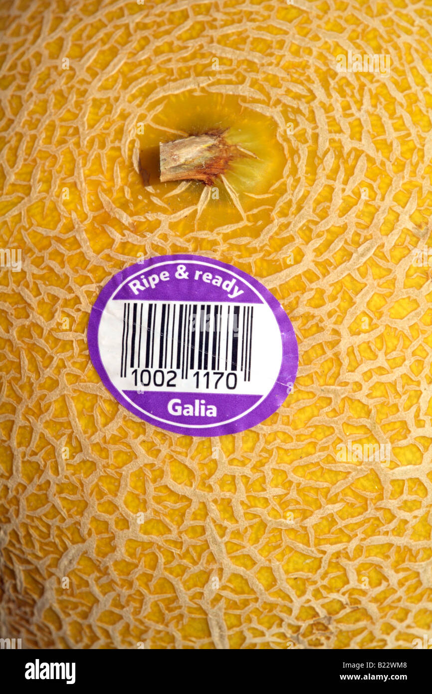 Galia melon with ripe and ready to eat sticker Stock Photo - Alamy