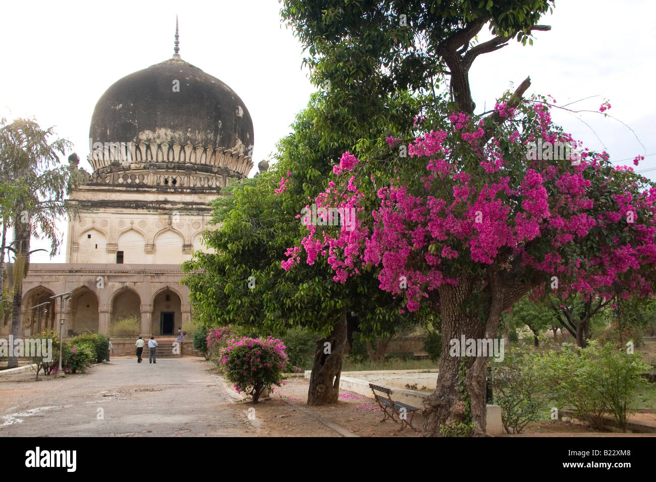 A flowering tree stands in front of the domed mausoleum of Muhammad ...