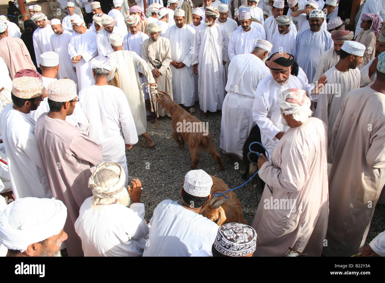 Nizwa goat market Sultanate of Oman Stock Photo - Alamy