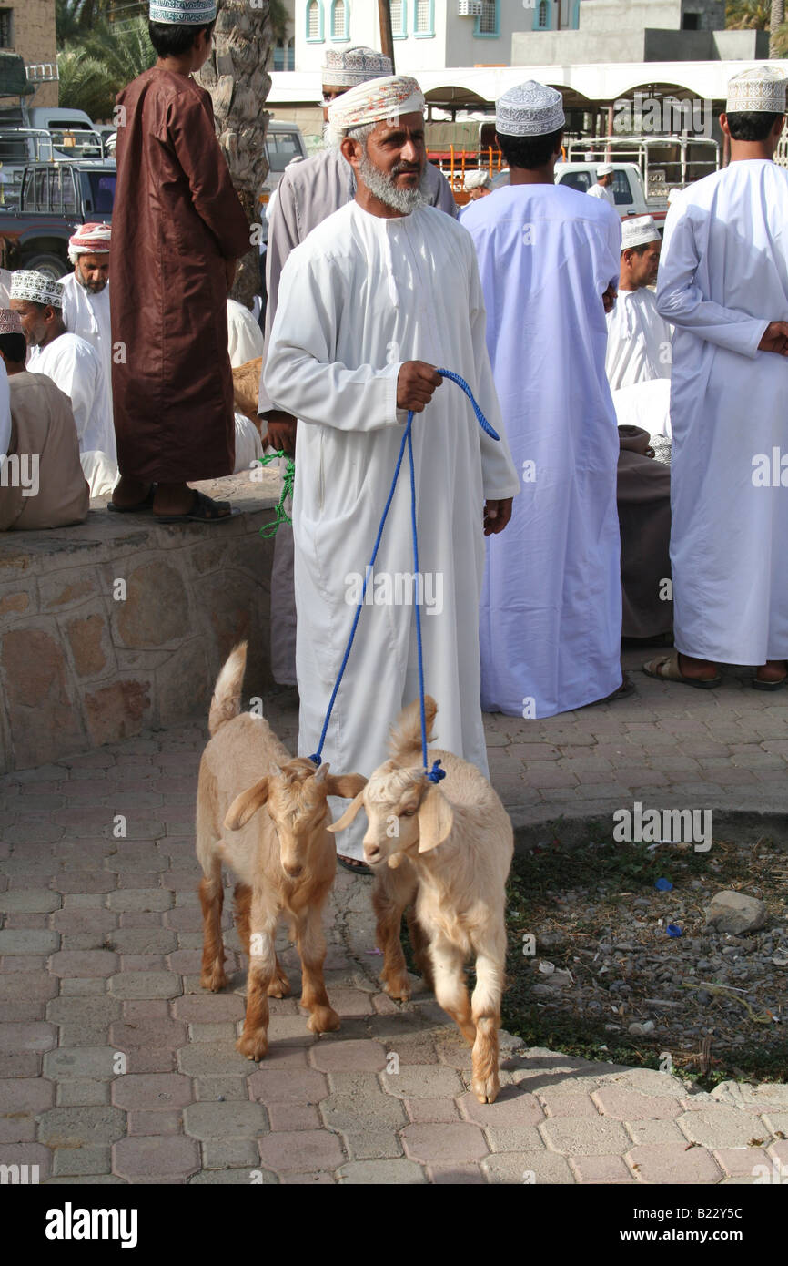 Goat dealer with his prize kids Nizwa goat market Sultanate of Oman ...