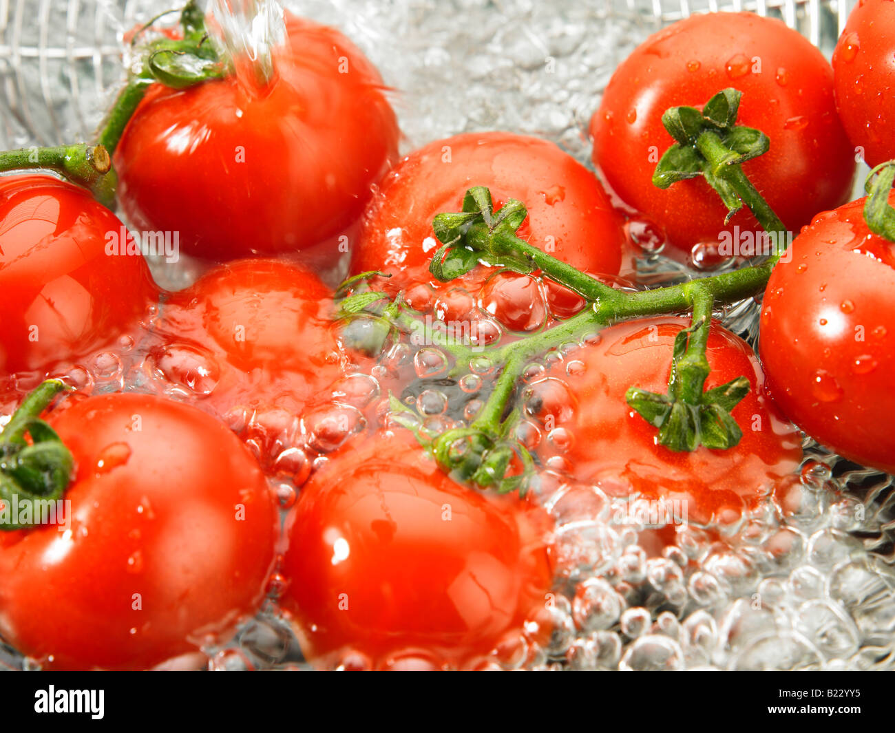 bunch of tomatoes being washed Stock Photo - Alamy