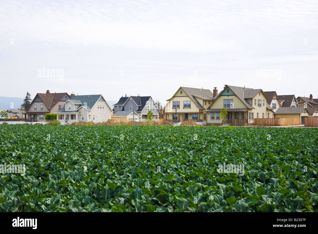 Encroaching hi-res stock photography and images - Alamy