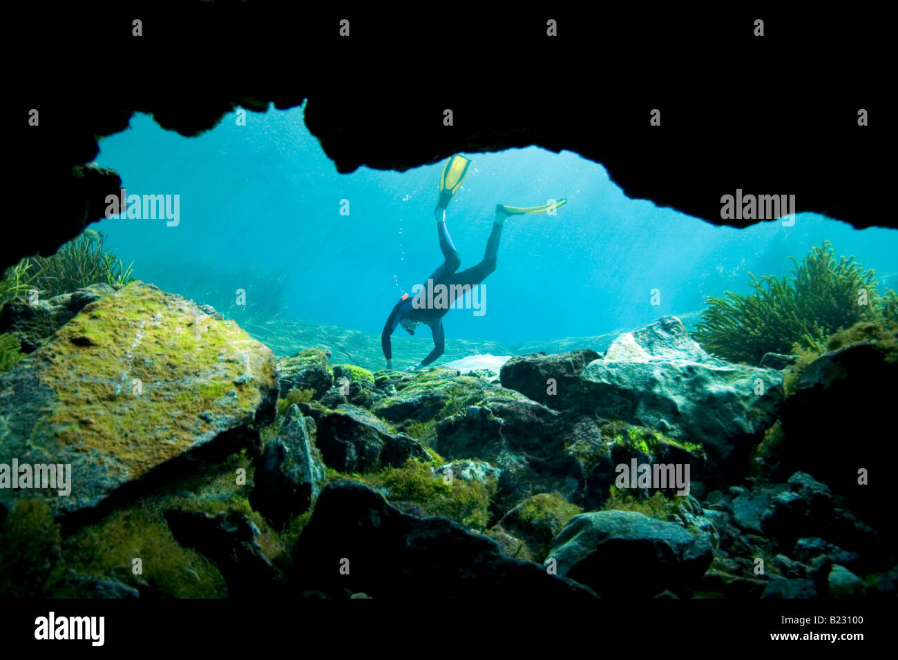 Person scuba diving in sea Stock Photo - Alamy