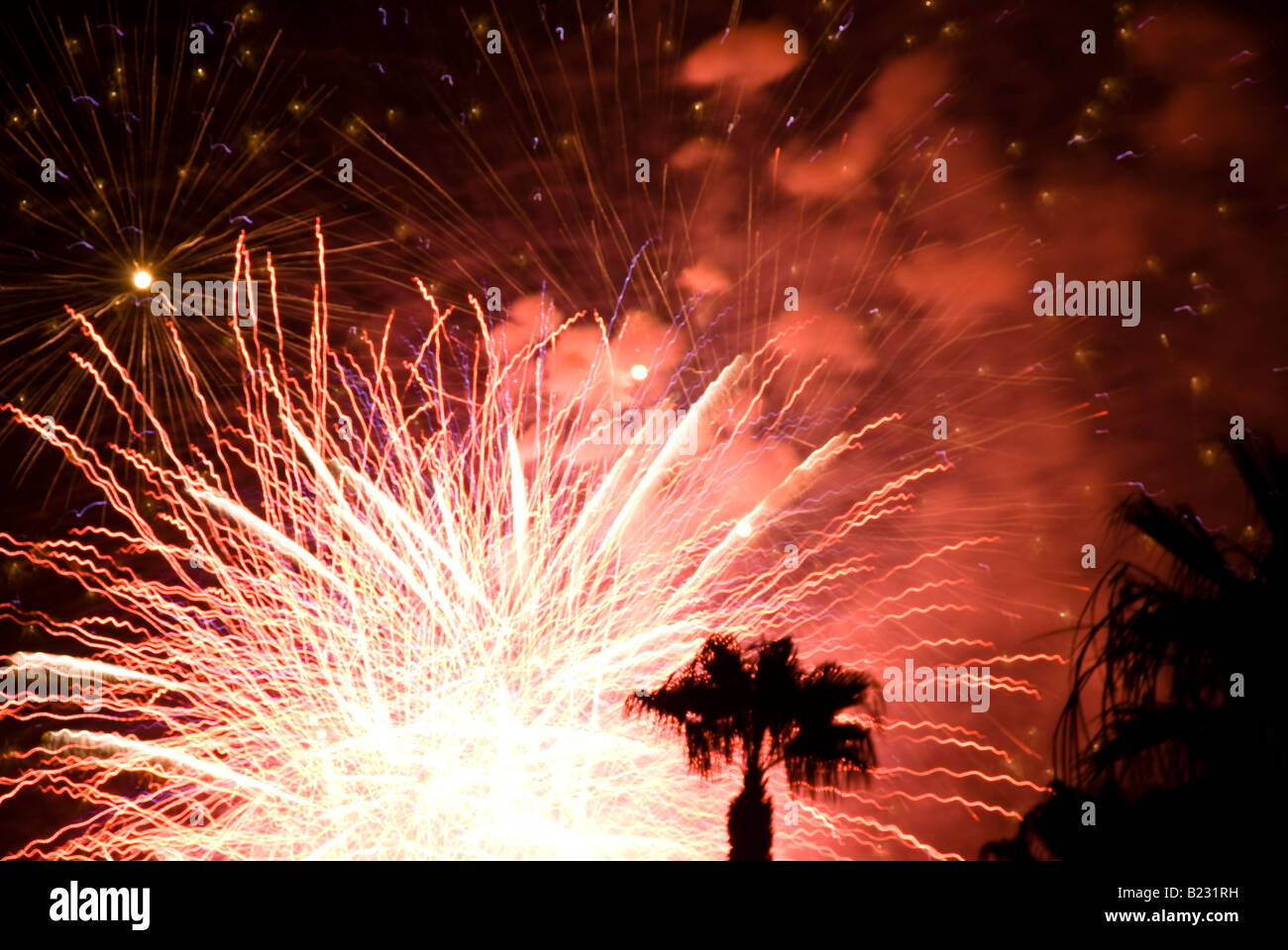Celebration fireworks - with palm tree Stock Photo - Alamy