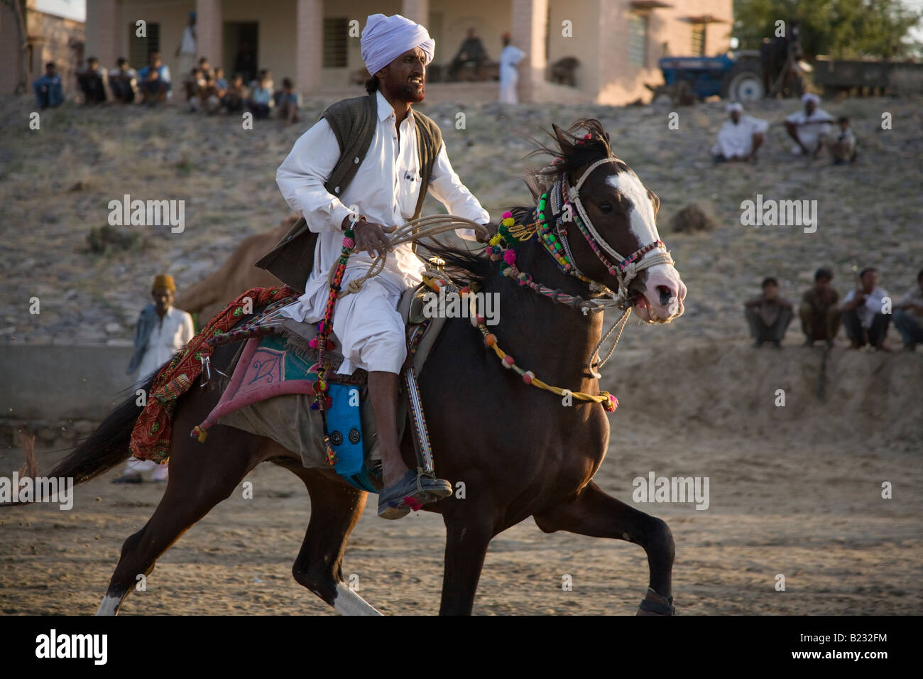 Marwari horse hi-res stock photography and images - Alamy