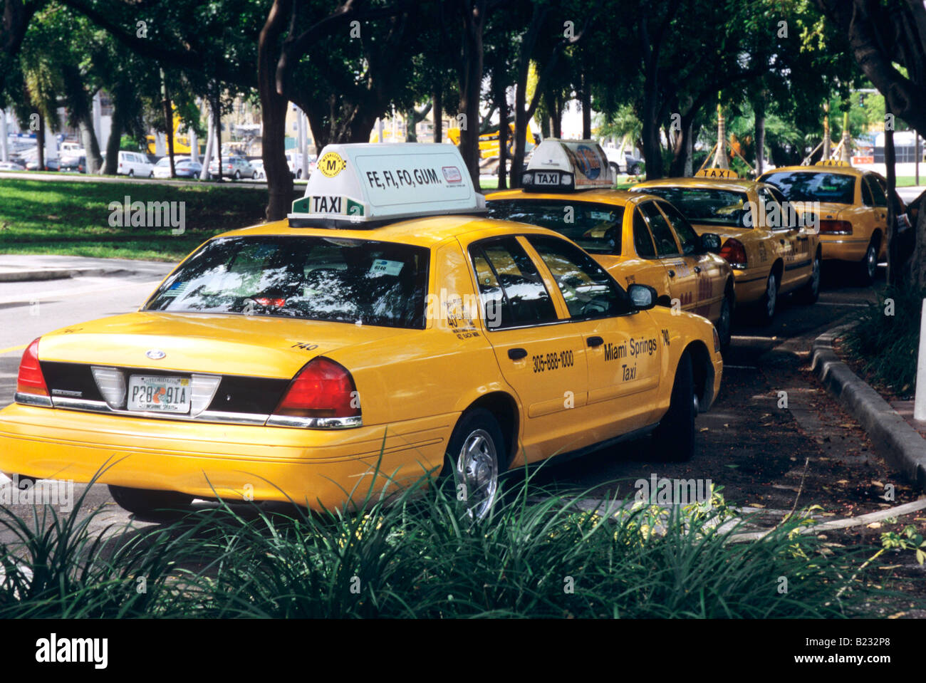 A line of yellow American cabs waiting for fares in the shade of trees ...