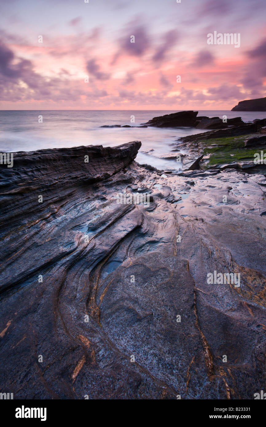 Gull rock cornwall trebarwith hi-res stock photography and images - Alamy