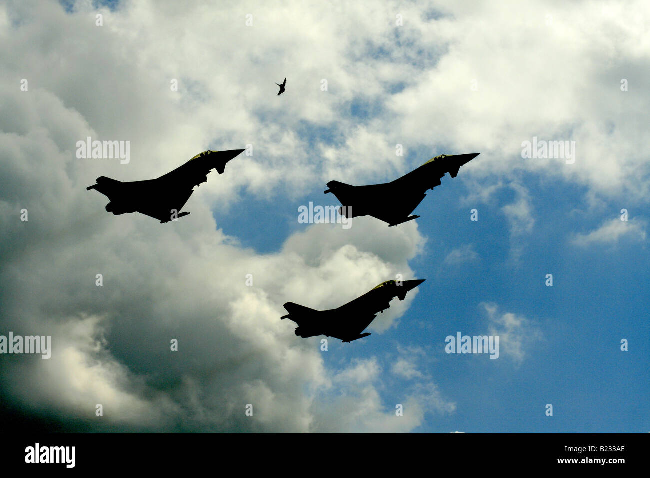 Eurofighter Typhoon, multinational twin-engine, canard delta wing ...