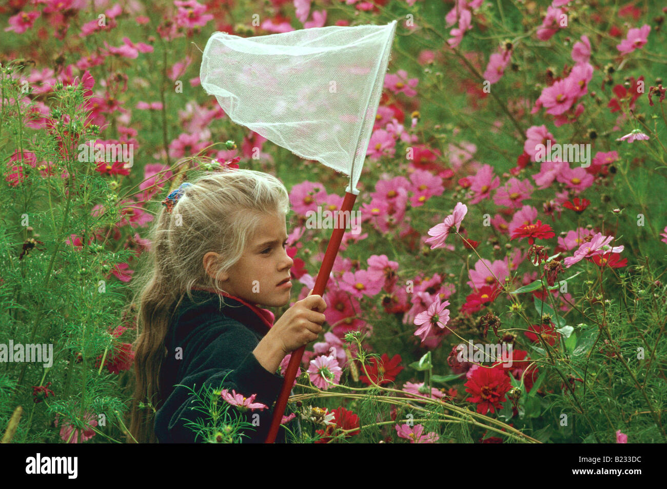 Chasing Butterflies High Resolution Stock Photography and Images - Alamy