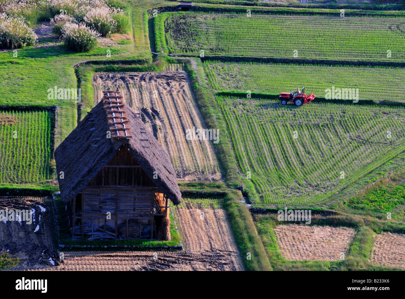 Traditional Japanese farmhouses in Shirakawa village viewed from above ...