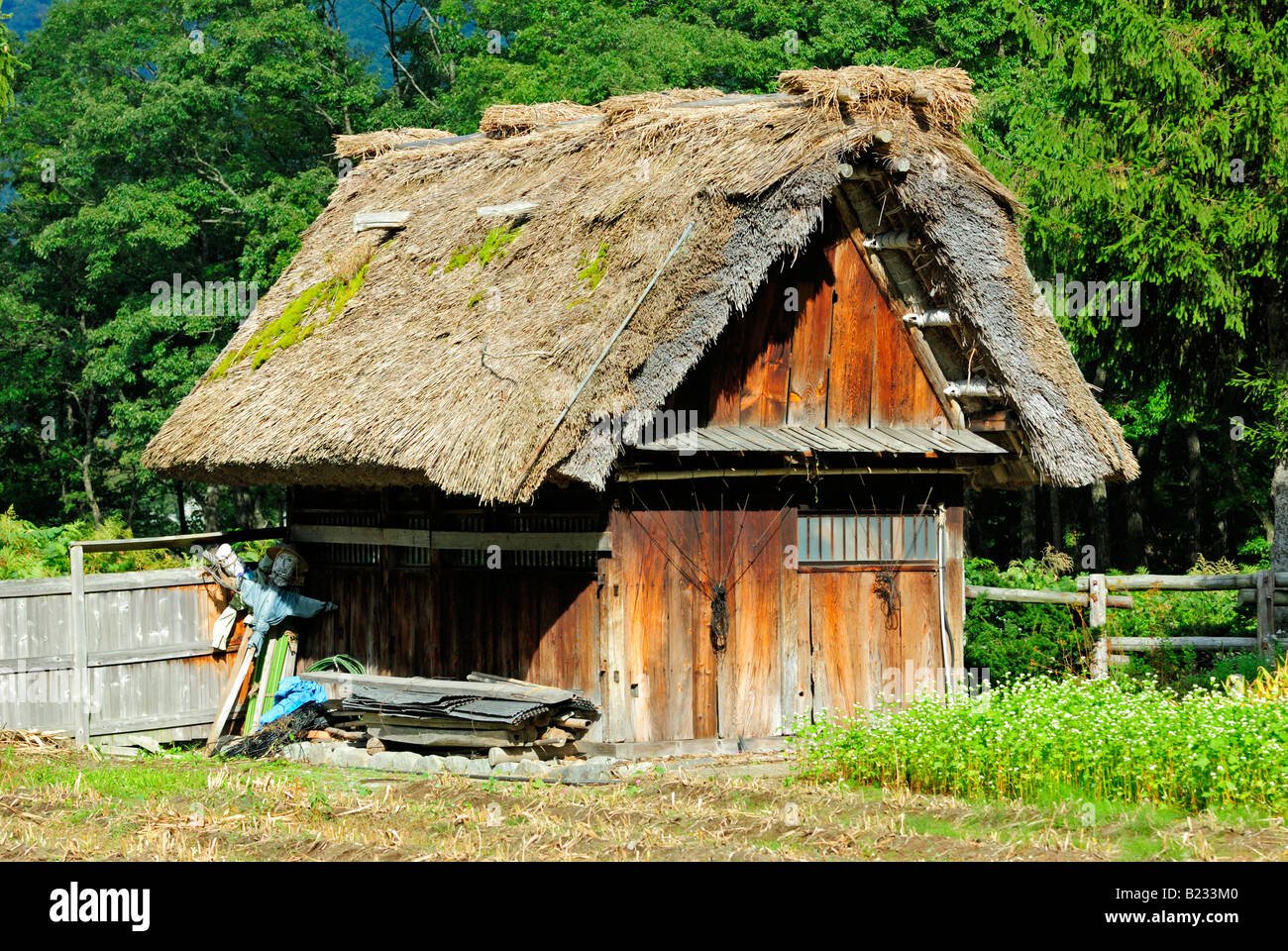 Traditional Japanese farmhouses in Shirakawa village viewed from above ...