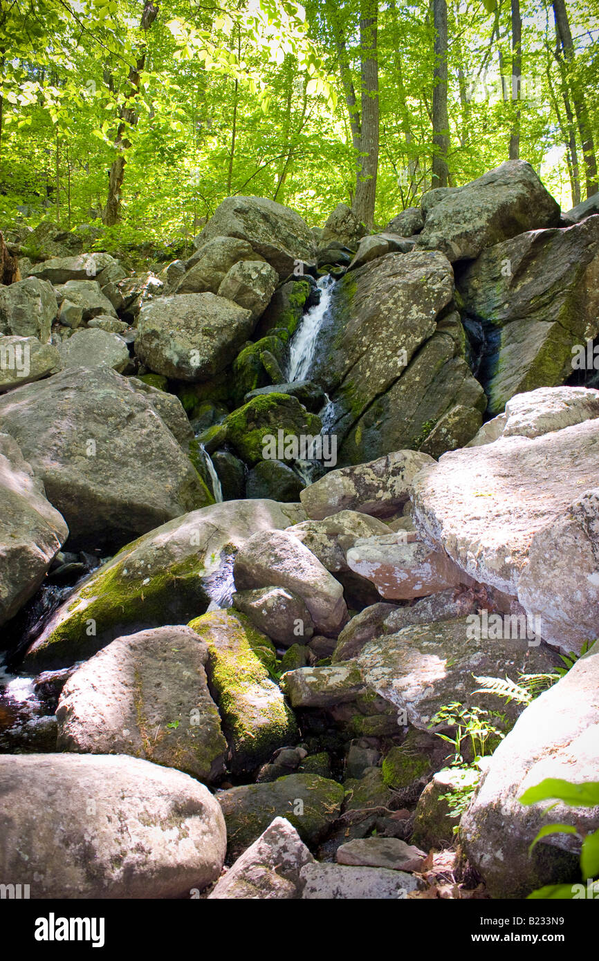 A beautiful waterfall flowing in the woods Stock Photo - Alamy