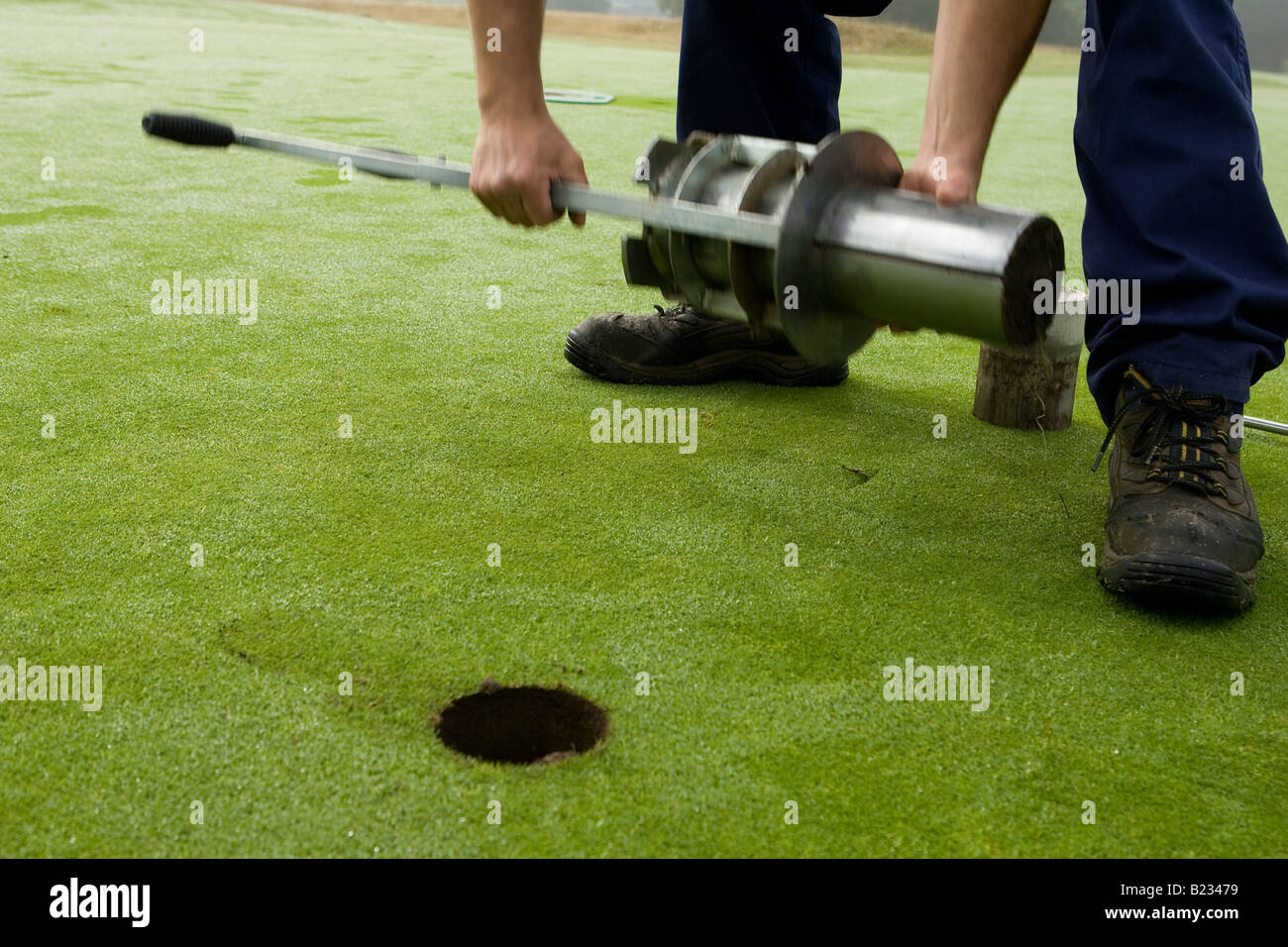 Greenkeeper cutting hole in putting green Stock Photo - Alamy