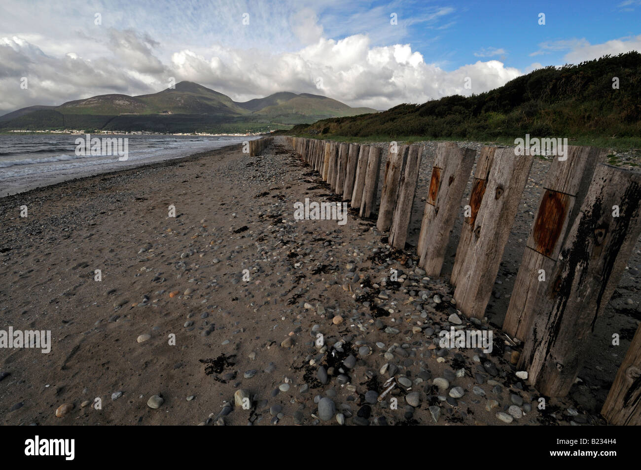 Murlough nature reserve beach sand dunes Groynes Groins slieve donard ...