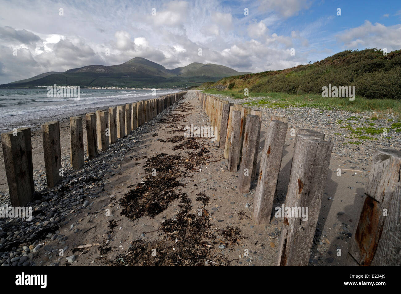 Murlough nature reserve beach sand dunes Groynes Groins slieve donard ...