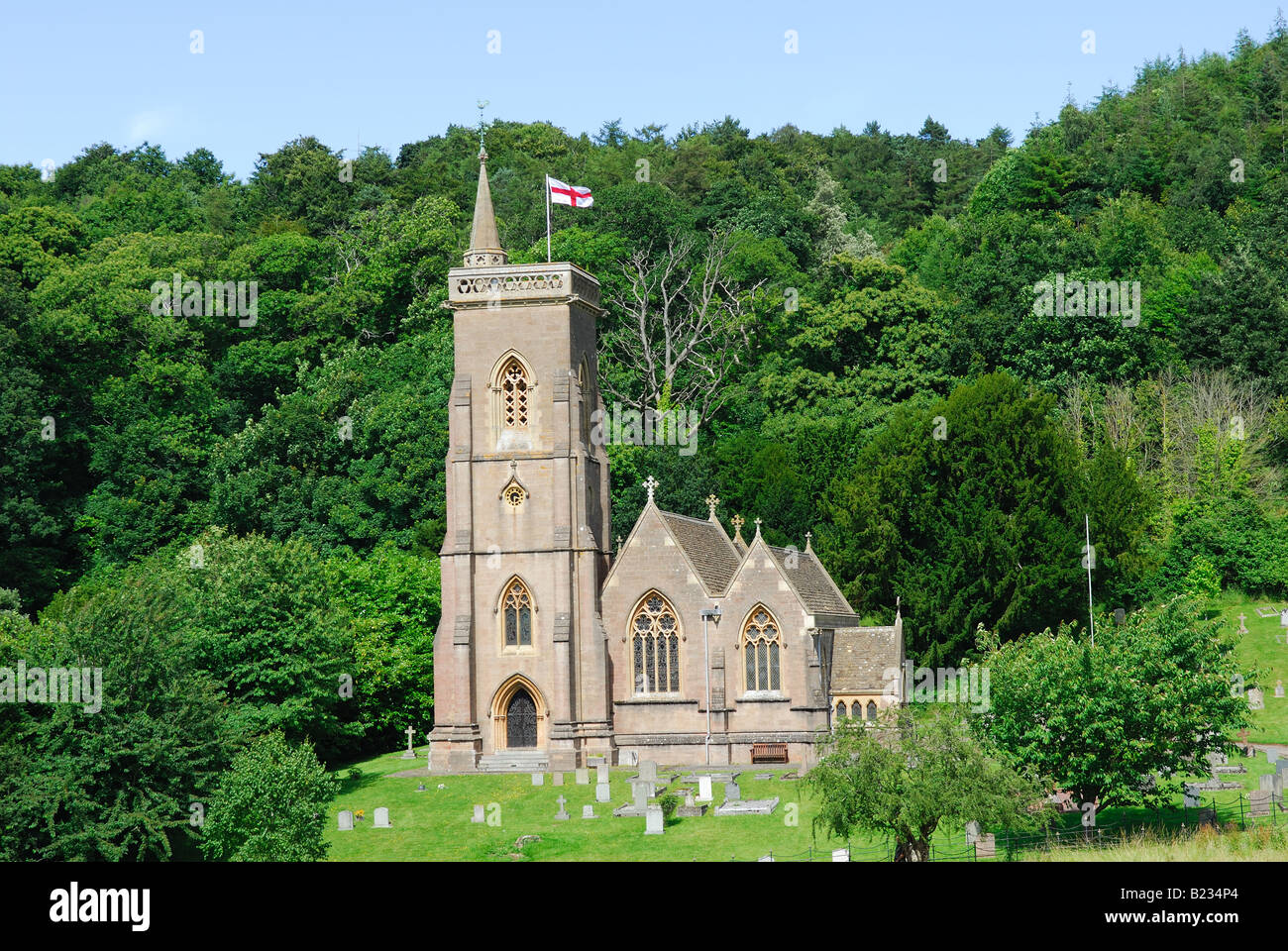 Quantox head hi-res stock photography and images - Alamy