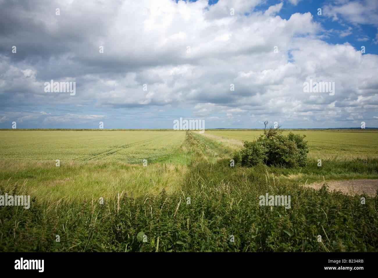 Scudding Clouds Stock Photos & Scudding Clouds Stock Images - Alamy