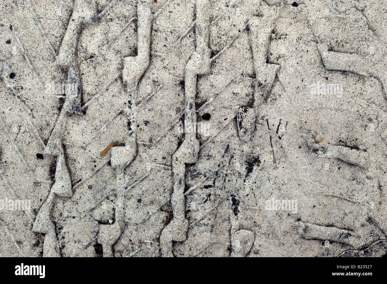 Close up of white tire tread marks on white thermal lane markings Stock ...