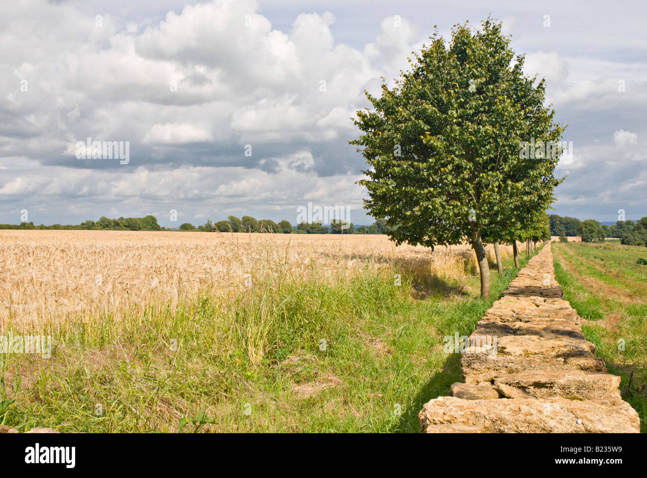 Rebuilt Dry Stone Wall Stock Photo - Alamy