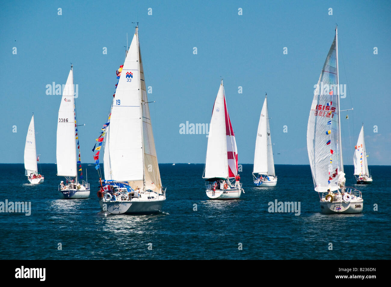 The graphic white sails standout during the Sail Past at the waterfront ...