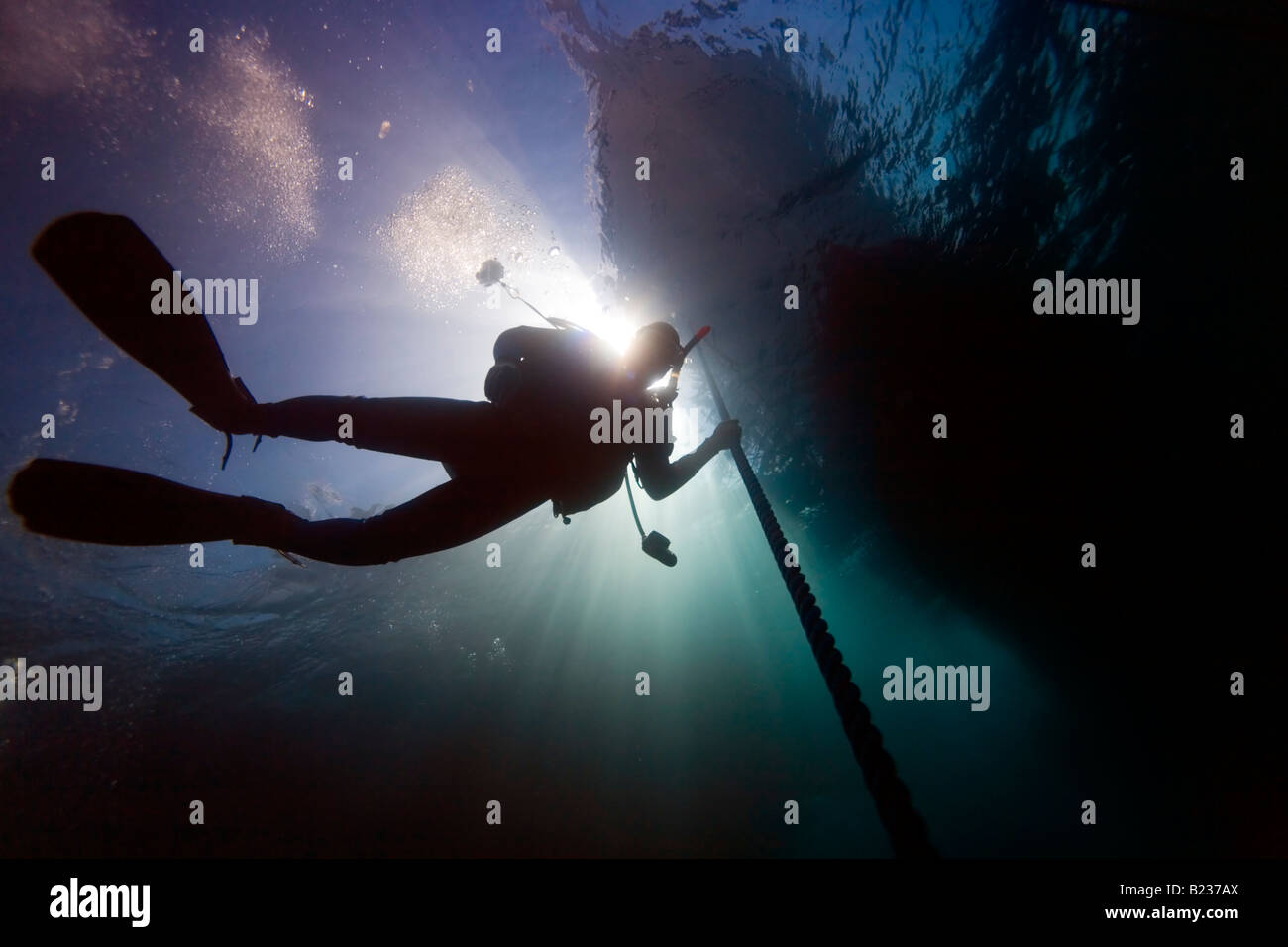A scuba diver returns to a dive boat in the Egyptian Red Sea Stock ...