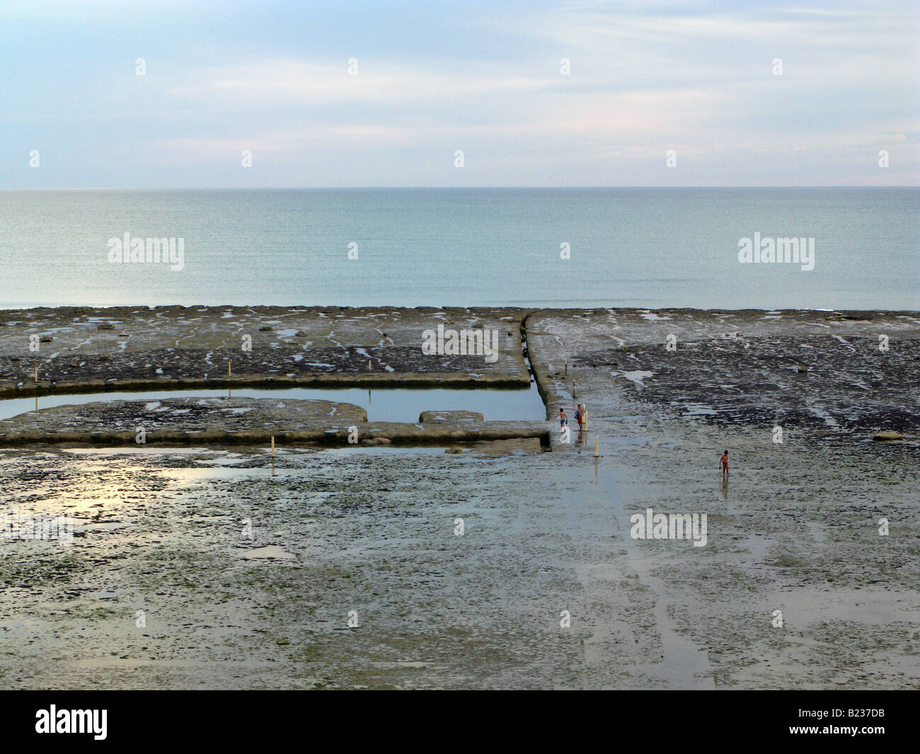 Intertidal puddle hi-res stock photography and images - Alamy