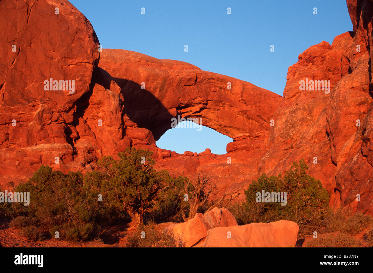 South Window Arch Stock Photo - Alamy