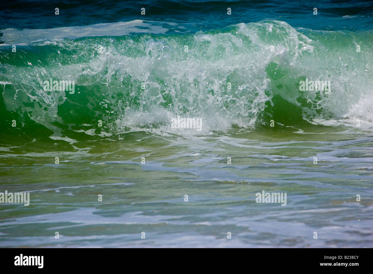 Green water wave with sea foam Stock Photo - Alamy