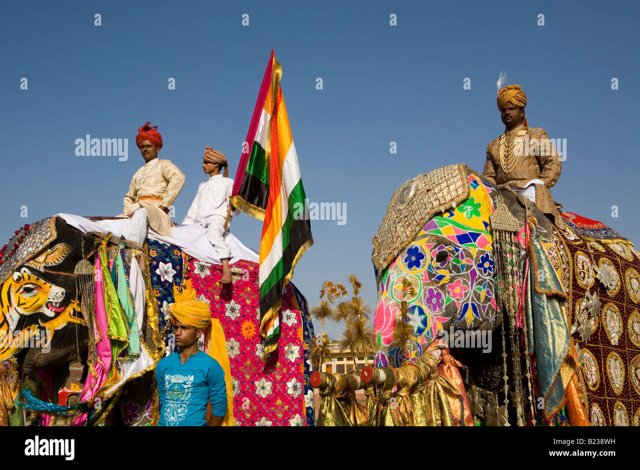 Elephant Festival Jaipur Rajasthan India Stock Photo - Alamy