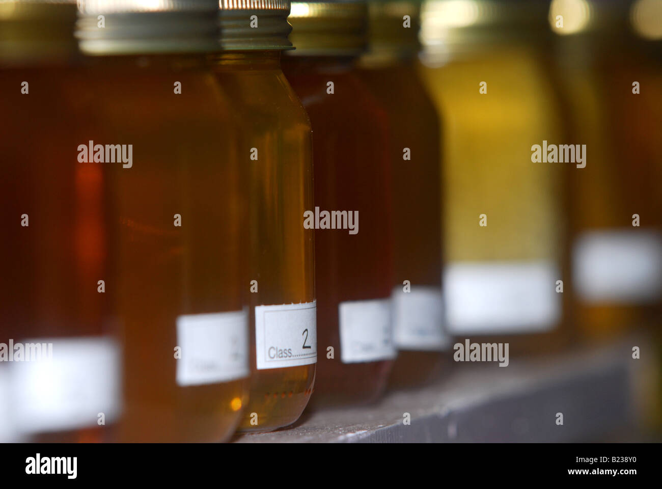 Selection of home made Honey on display for judging at the Devon County ...