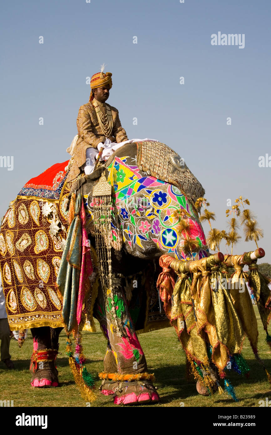 Elephant Festival Jaipur Rajasthan India Stock Photo - Alamy
