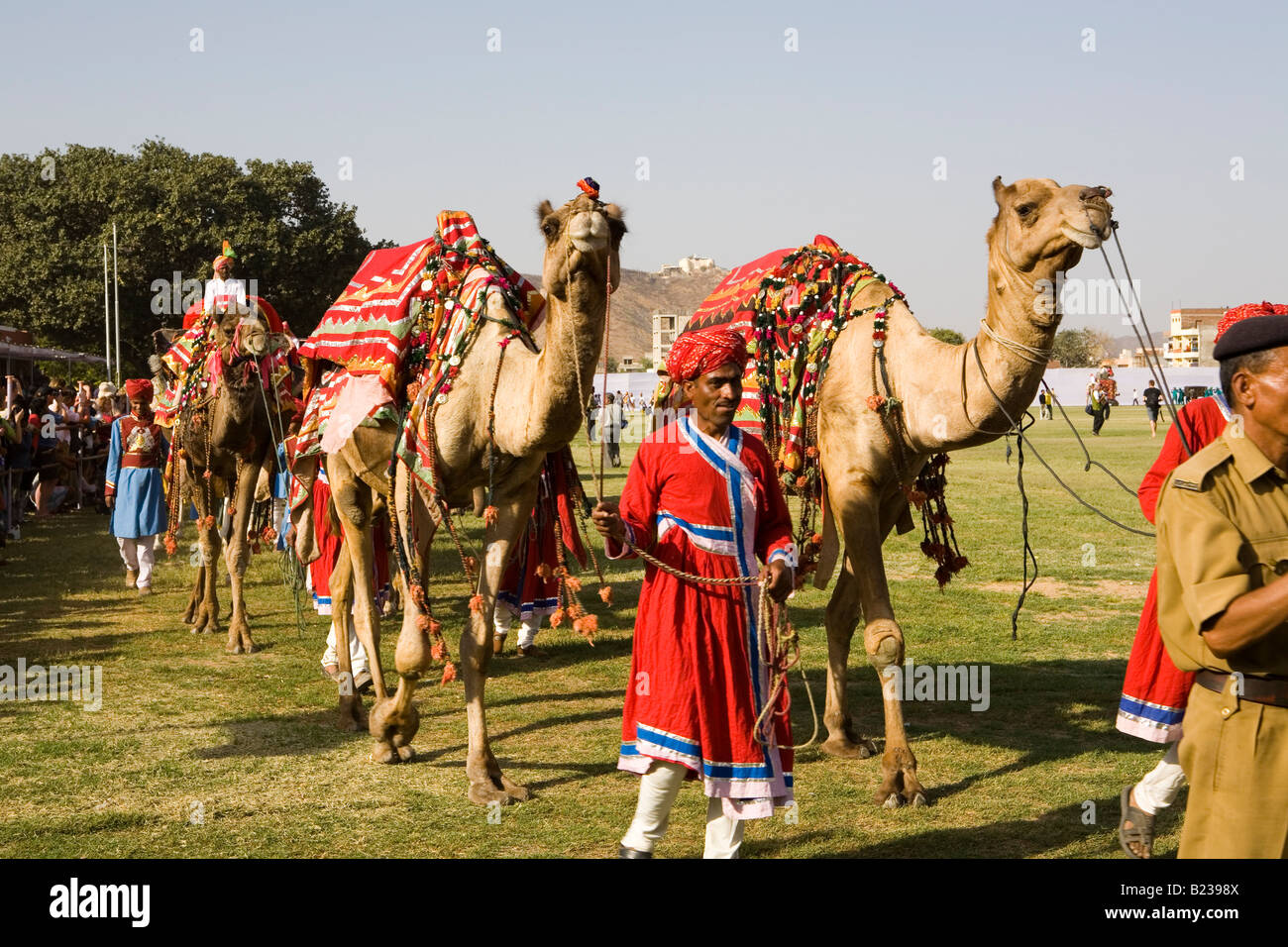 Elephant Festival Jaipur Rajasthan India Stock Photo - Alamy