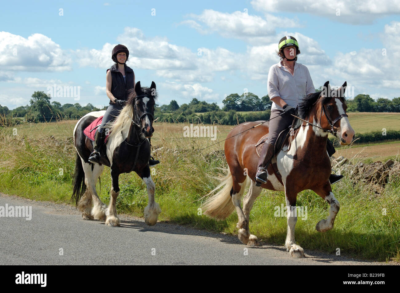 Riding two 2 horses on a trail hi-res stock photography and images - Alamy