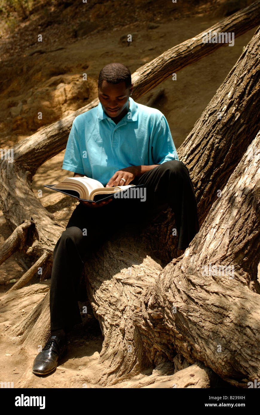 Man reading book Stock Photo - Alamy