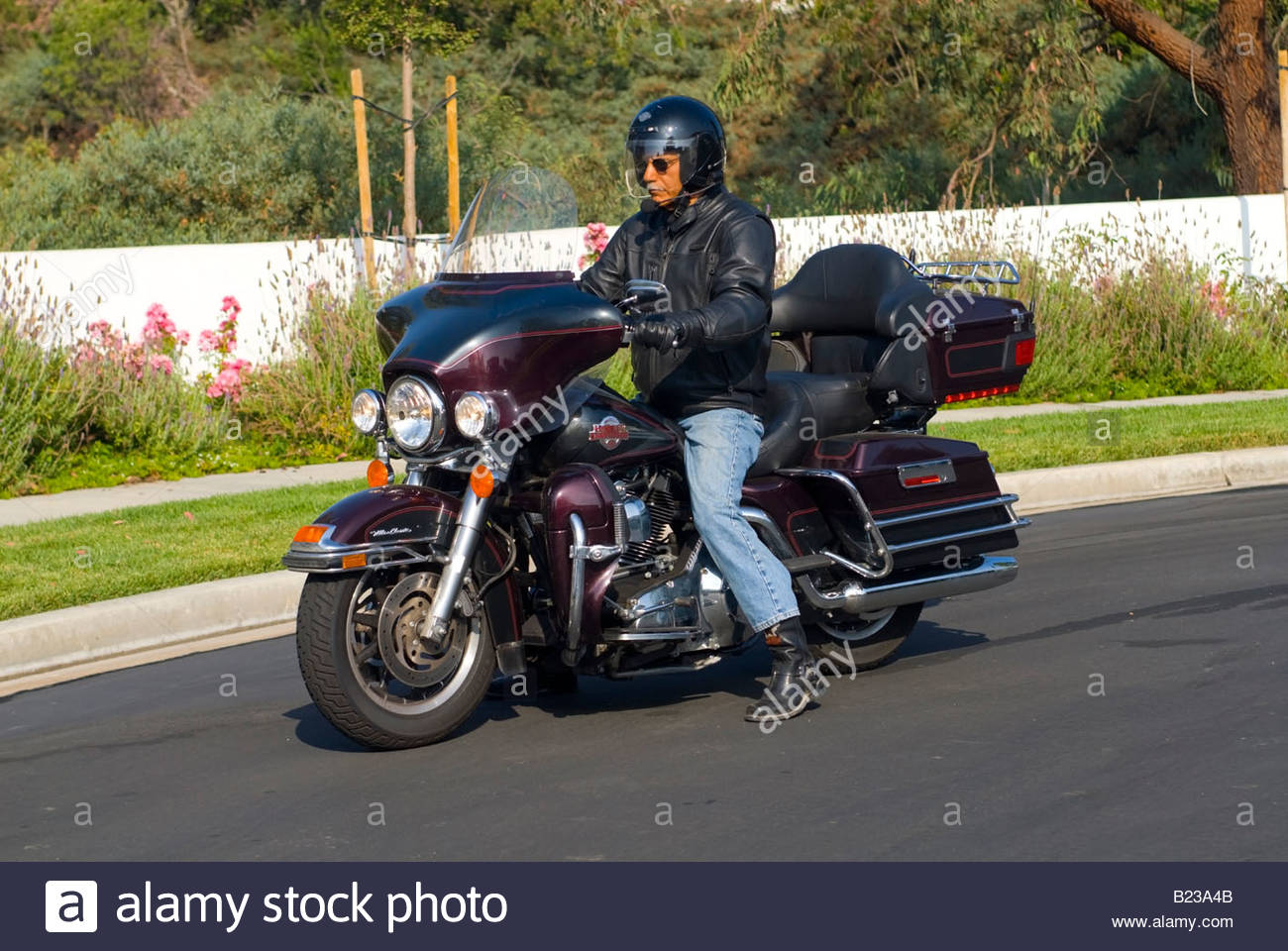 Harley Davidson Motorcycle Rider Stock Photos & Harley Davidson ...