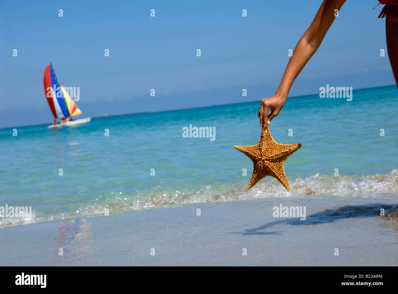 Star sailing boat hi-res stock photography and images - Alamy