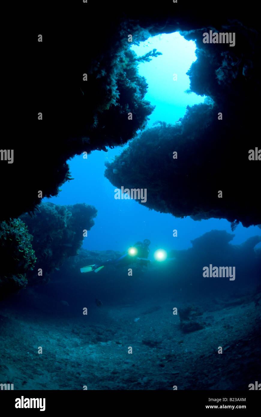 scuba diver in the southern pinacles Protea Banks South Africa Indian ...