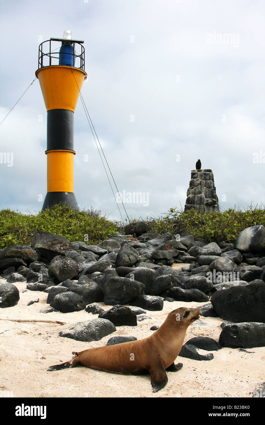 Seal by lighthouse on Espanola Island, Galapagos Islands Stock Photo ...