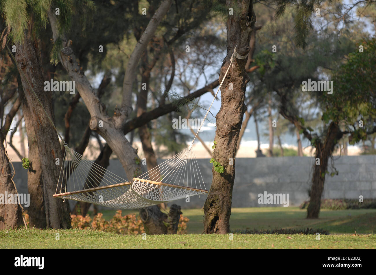 Hammock hanging from trees Stock Photo - Alamy