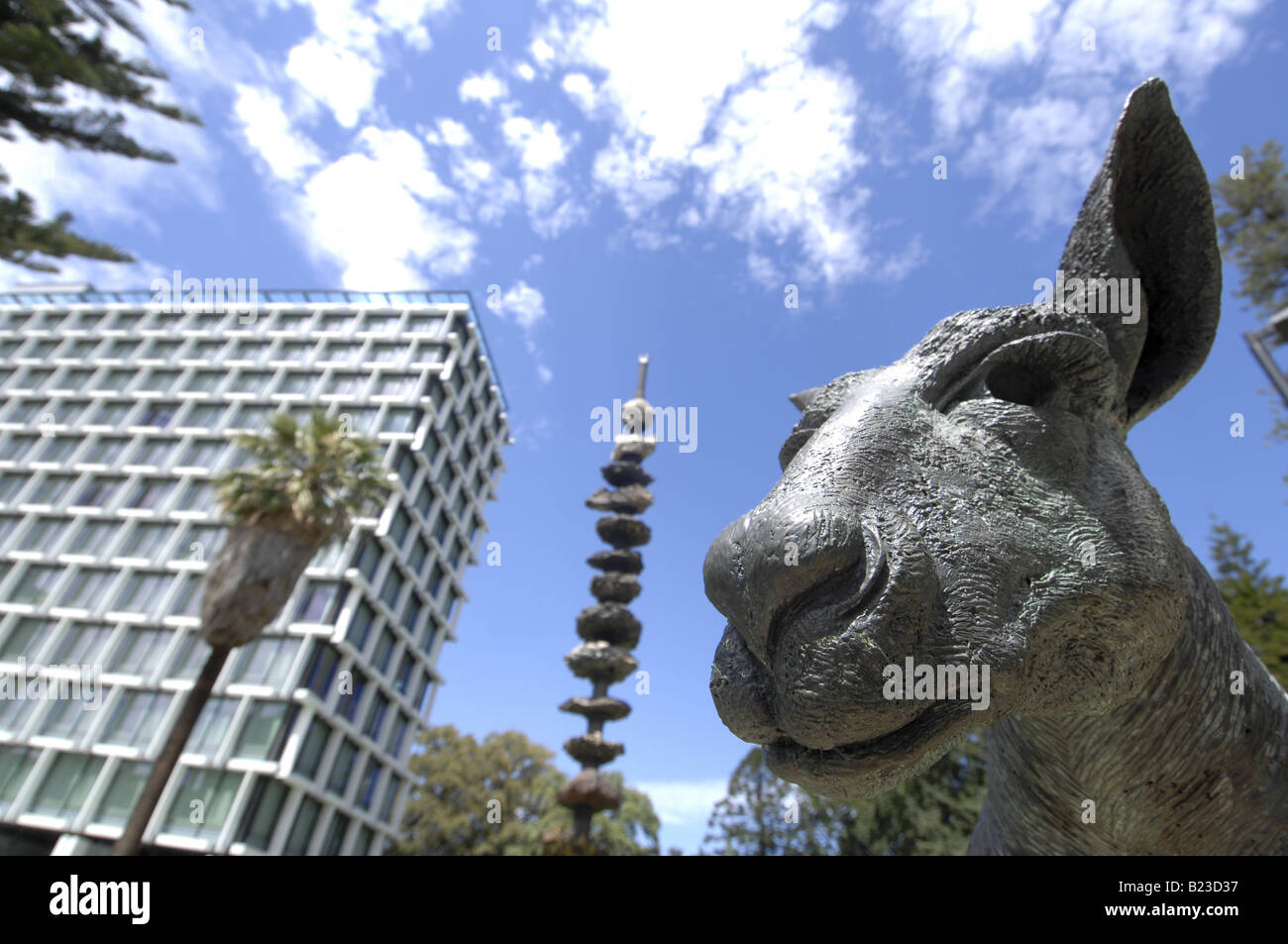 Close-up of statue of kangaroo, Perth, Australia Stock Photo - Alamy