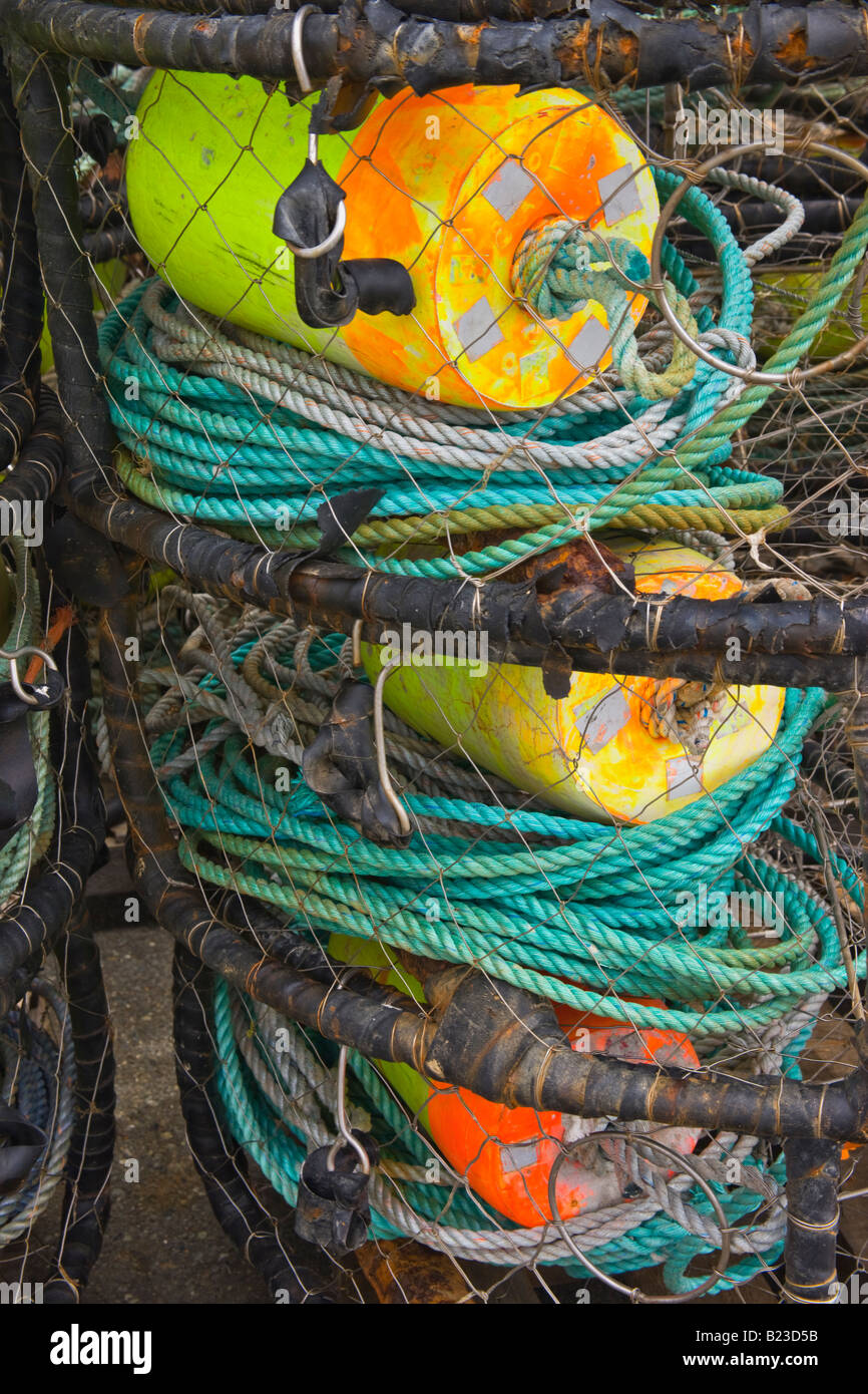 Crustation hi-res stock photography and images - Alamy