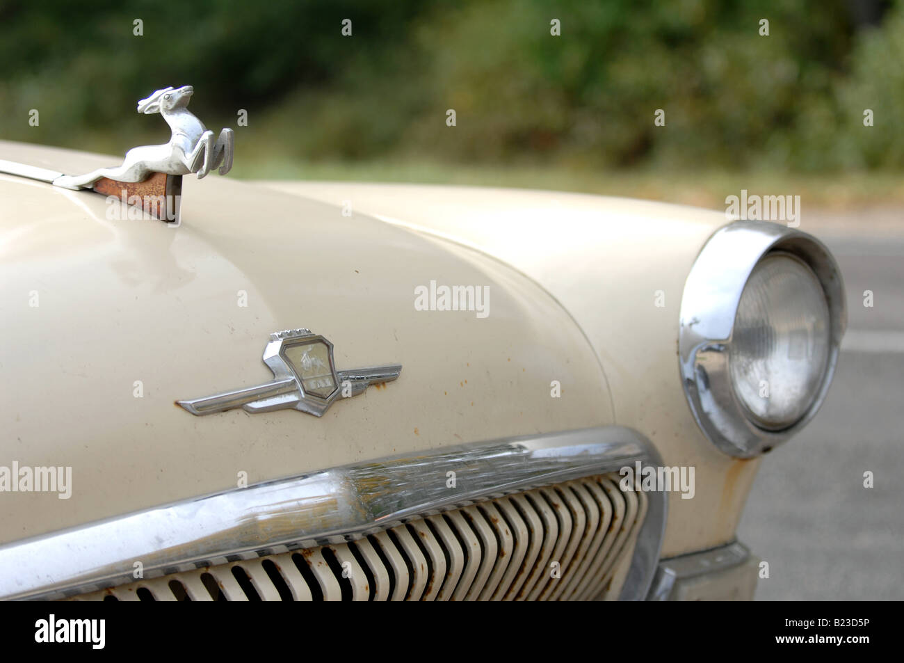 Close-up of bonnet of car Stock Photo - Alamy