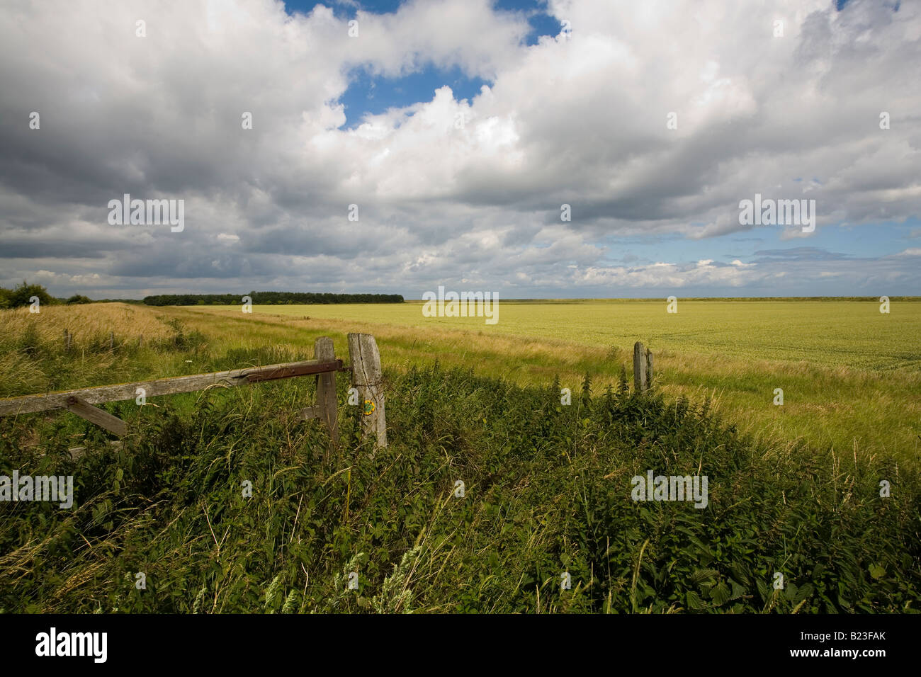 Scudding clouds hi-res stock photography and images - Alamy