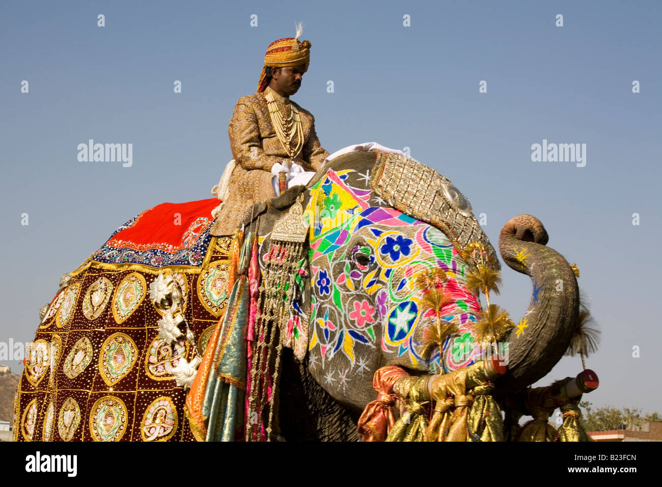 Elephant Festival Jaipur Rajasthan India Stock Photo - Alamy