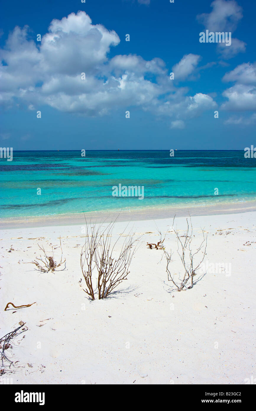 Divi dutch village beach resort hi-res stock photography and images - Alamy