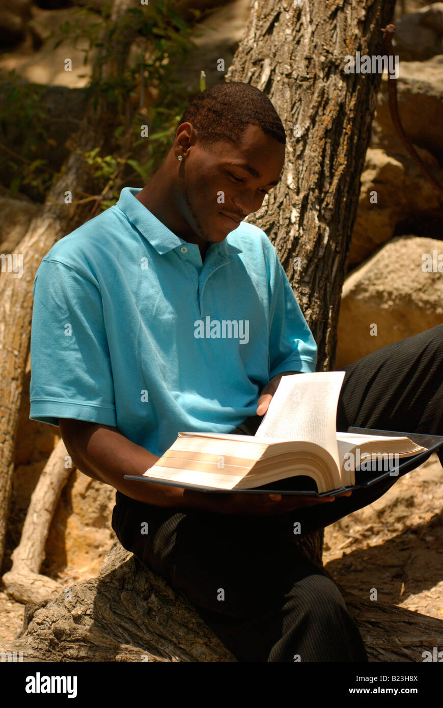 Man reading book under a tree Stock Photo - Alamy
