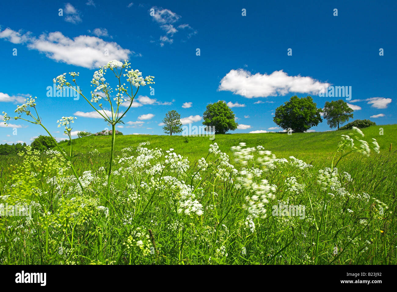 Mazury polen hi-res stock photography and images - Alamy